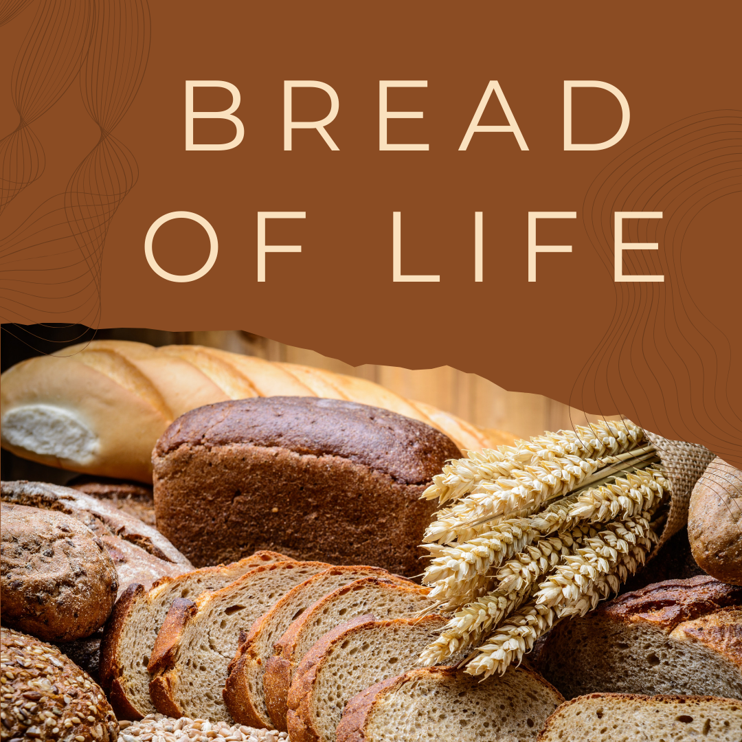 The Bread of Life. – Conversation in Faith